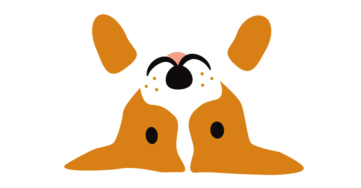 Fido & Fifi Bakery for Pets – Fido and Fifi Bakery For Pets